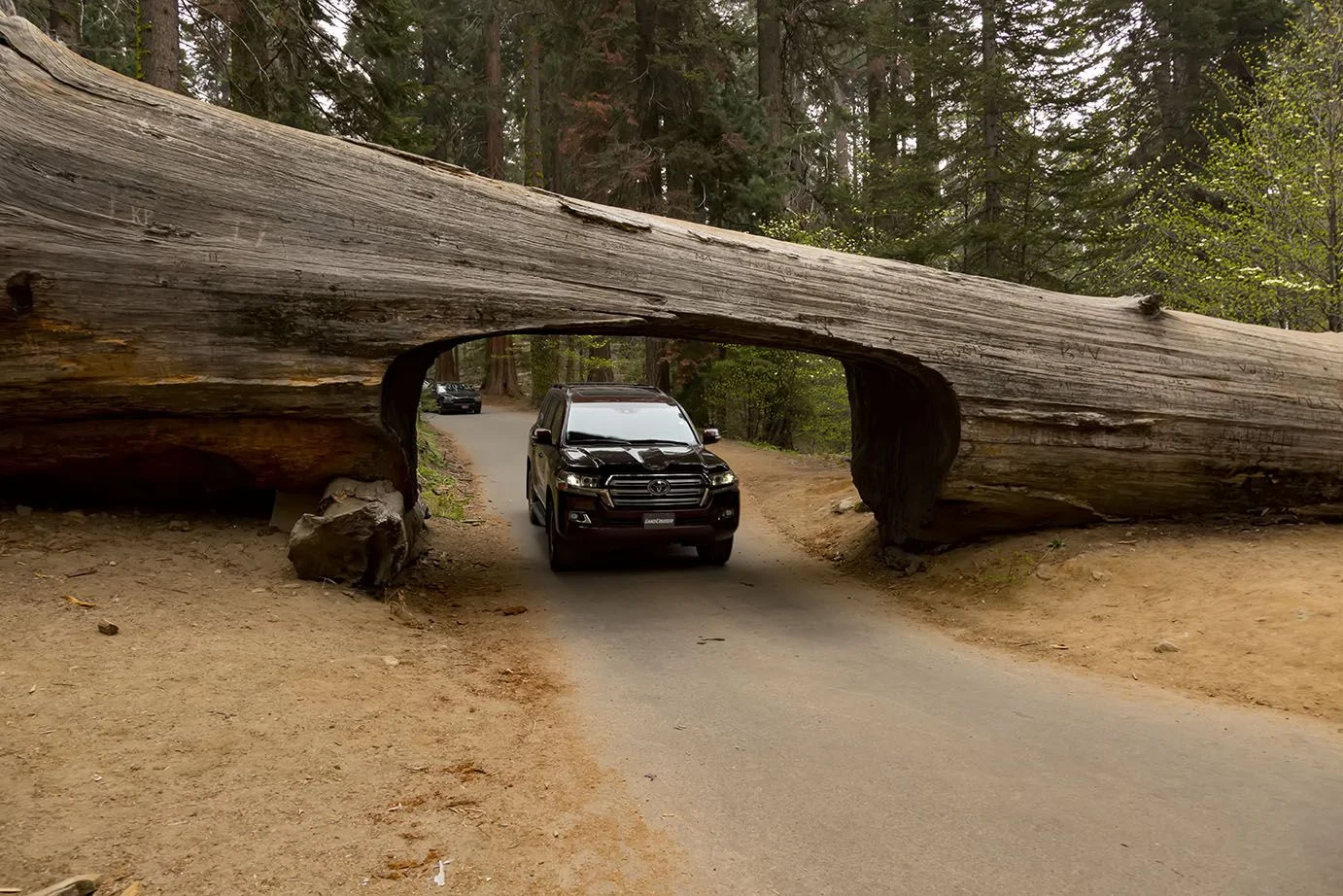 Tunnel log | IH8MUD.com Forum | Toyota, Lexus & Off-Road Community ...